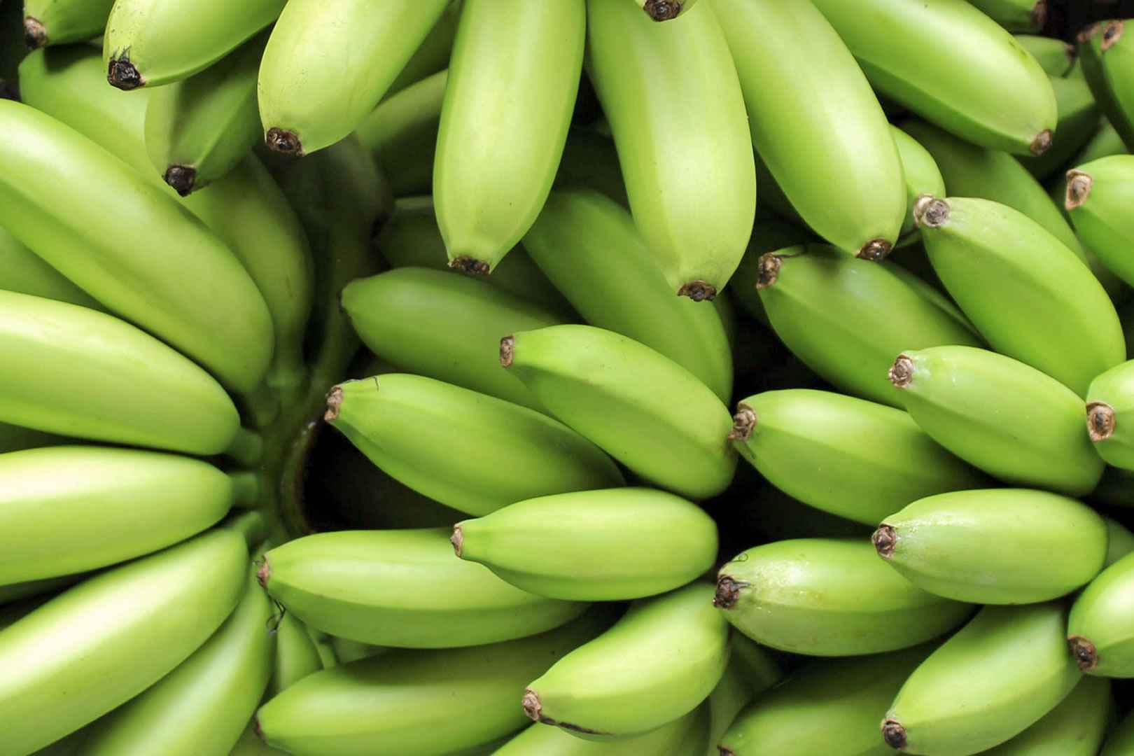 25 Banana Types: Health Benefits and Nutritional Values