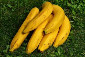 Banana Fruit: Types, Nutrition, Health Benefits, Uses - Banana Dose