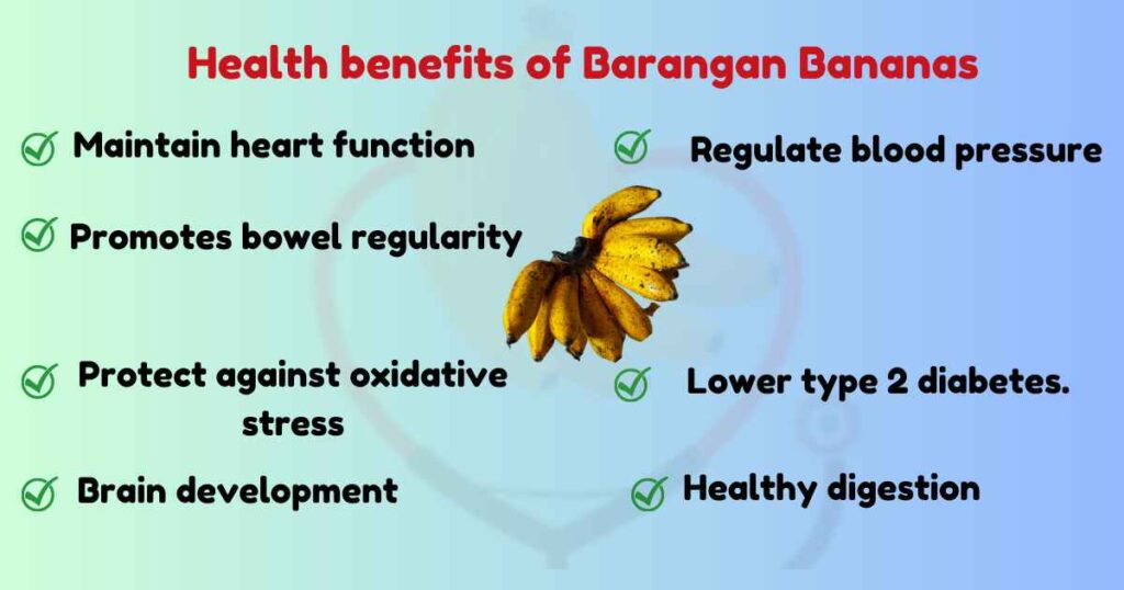 Barangan Bananas- Origin, Characteristics, Nutrition & Health Benefits ...
