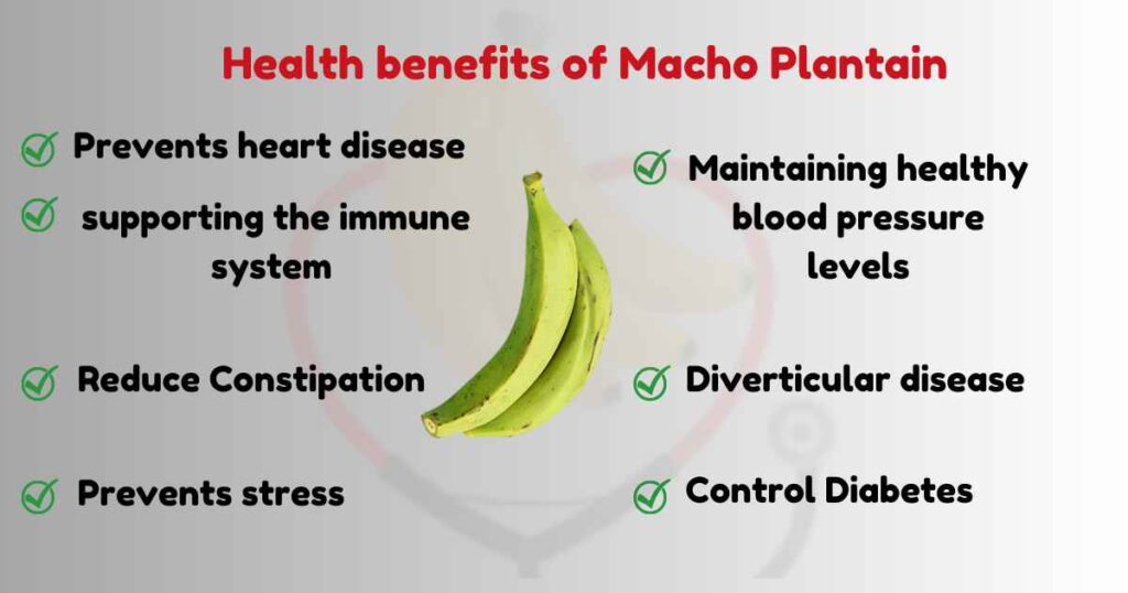 Macho Plantain- Nutrition, Benefits & Recipes - Banana Dose