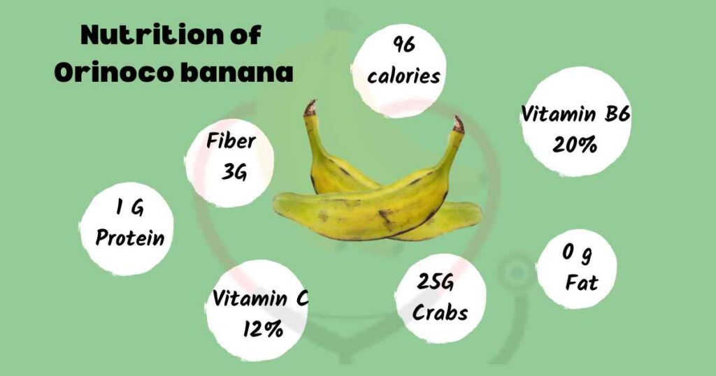 Orinoco Banana-Origin, Nutrition, Amazing Benefits & Uses - Banana Dose