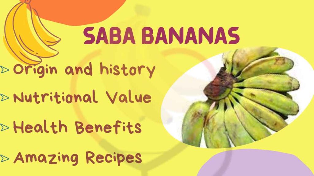 Saba Bananas-Origin, Nutrition, Characteristics, Uses & Amazing ...