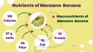 Manzano Banana- Origin, Uses, Nutrition & Health Benefits - Banana Dose