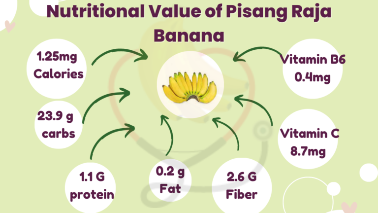Pisang Raja- Origin, Characteristics, Uses, Nutrition, & Amazing ...