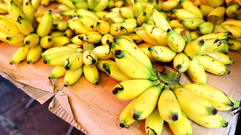 Manzano Banana- Origin, Uses, Nutrition & Health Benefits - Banana Dose