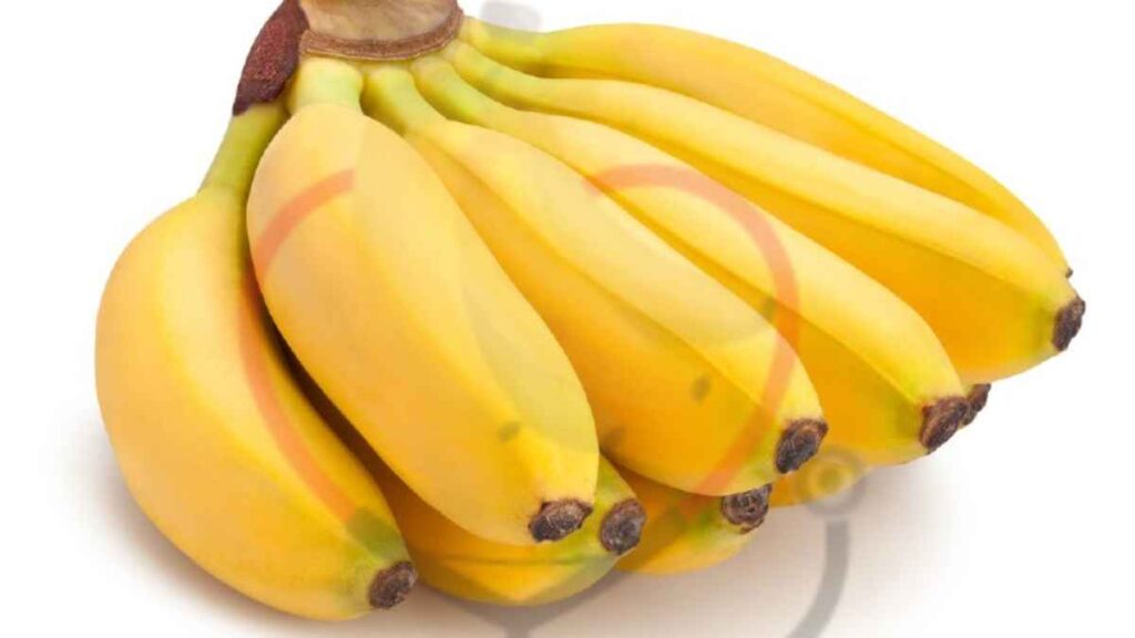 Lady Finger Banana- Origin, Nutrition, & Amazing Benefits